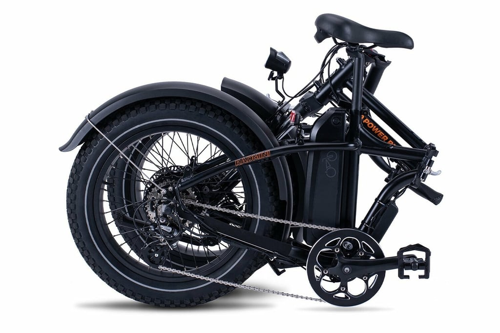 Rad Power Bikes Review: Are These Ebikes Any Good?