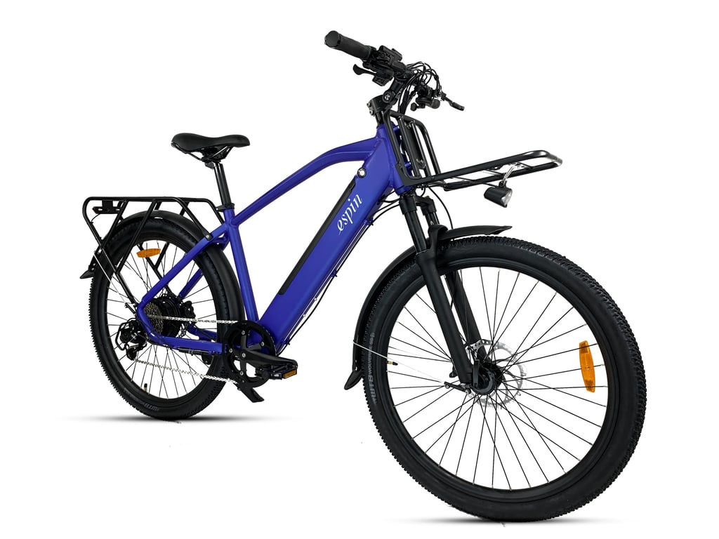 ESpin Review - Ultimate Test Of The Flow + Nesta EBikes