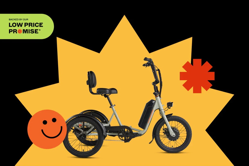 BEST Electric Bike Sales, Deals + Steals (January 2024)